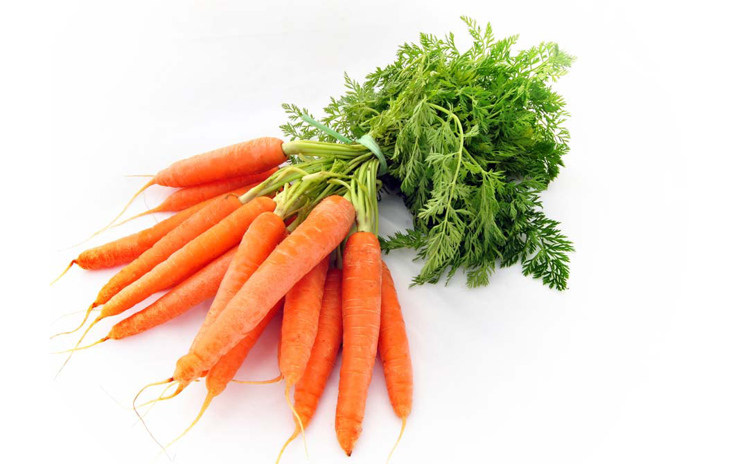 CARROT CORIANDER SOUP RECIPE - GoToChef