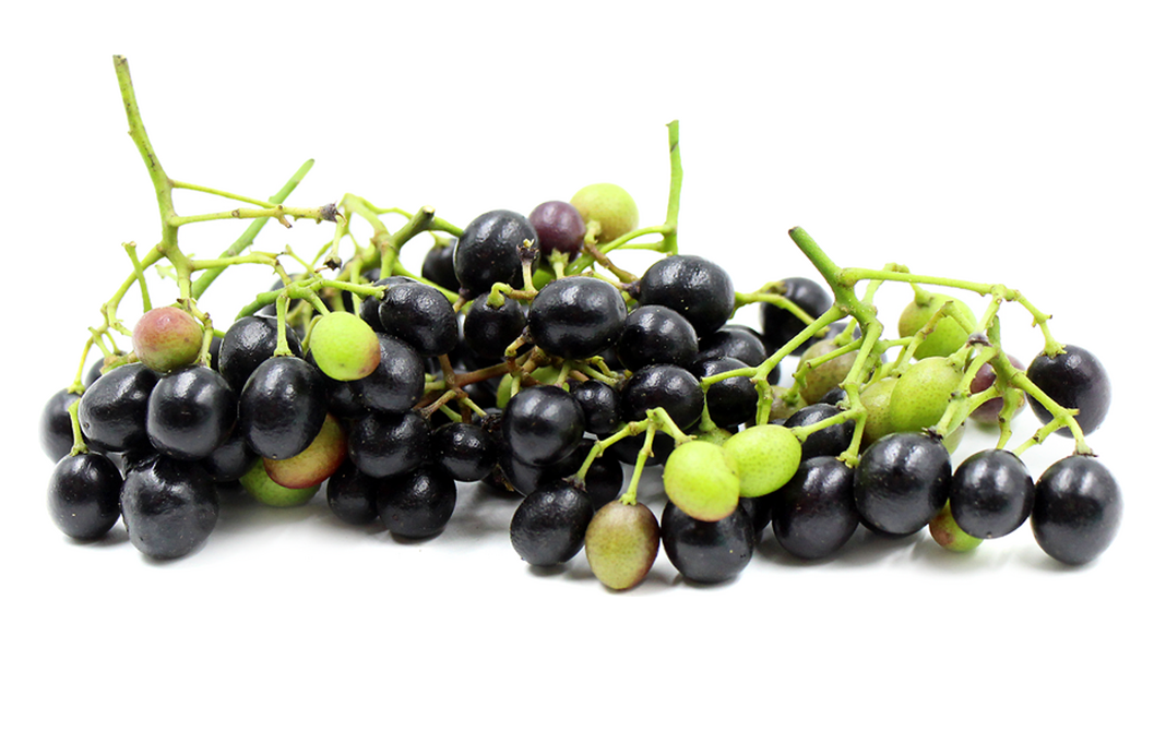 Wonderberries - GoToChef