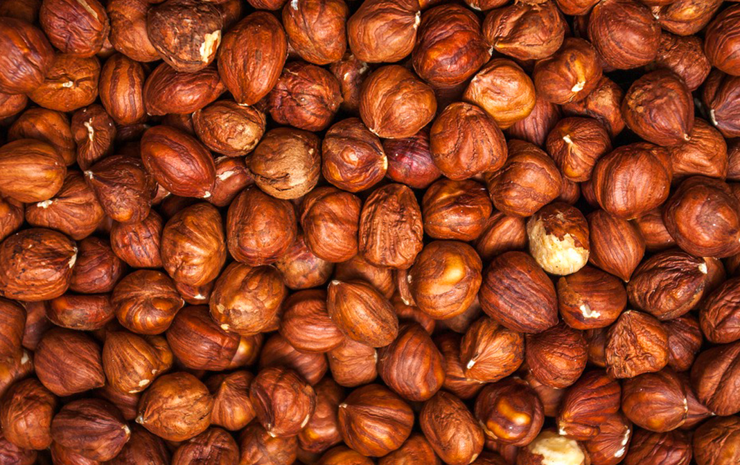 Wonderland Foods Hazelnuts Pack - GoToChef