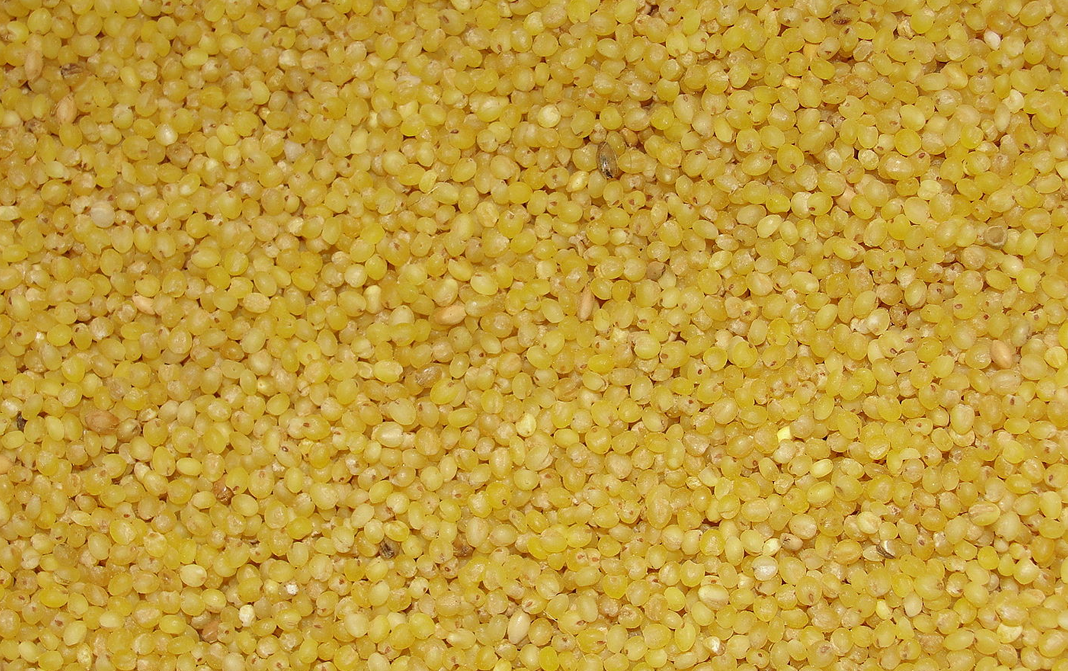 Foxtail Millet - Complete Information Including Health Benefits ...