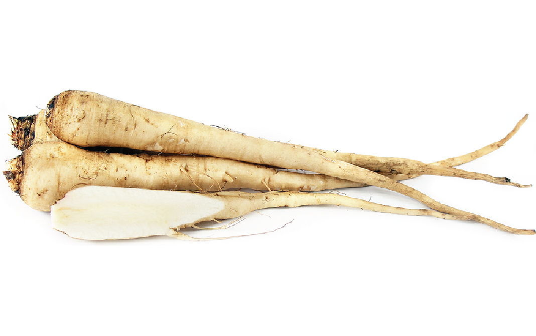 Chicory Root - Complete Information Including Health Benefits ...