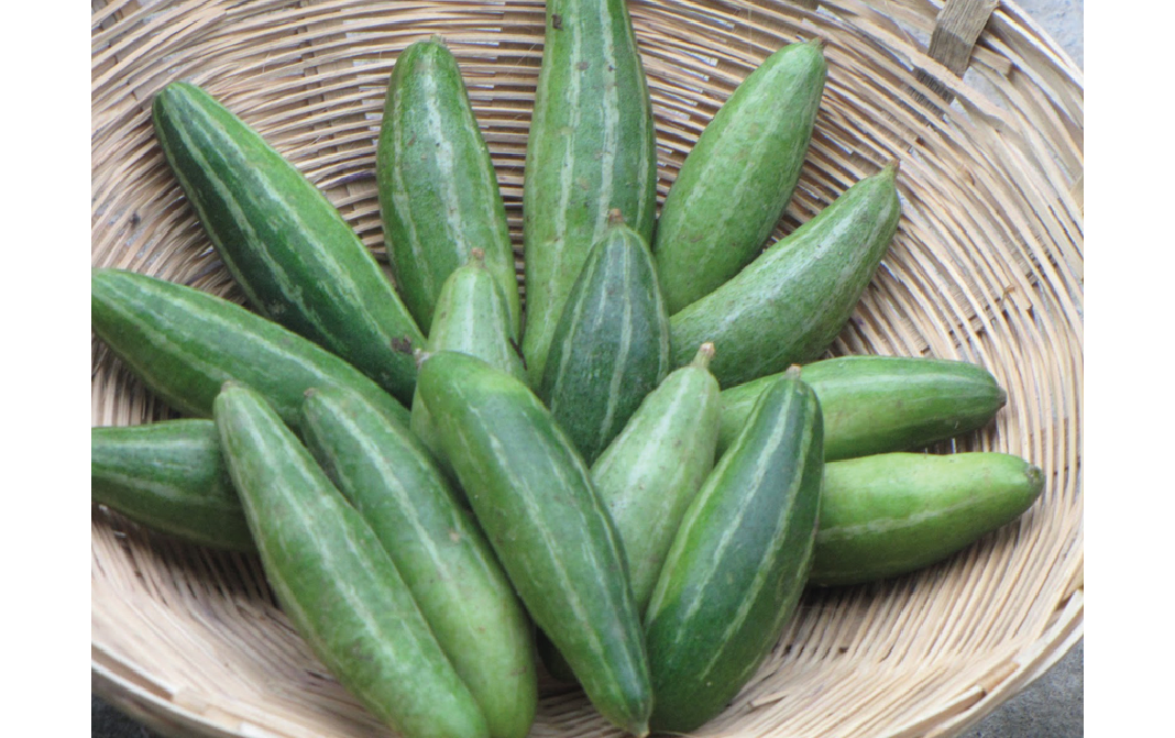 Parvar (Pointed Gourd) - GoToChef