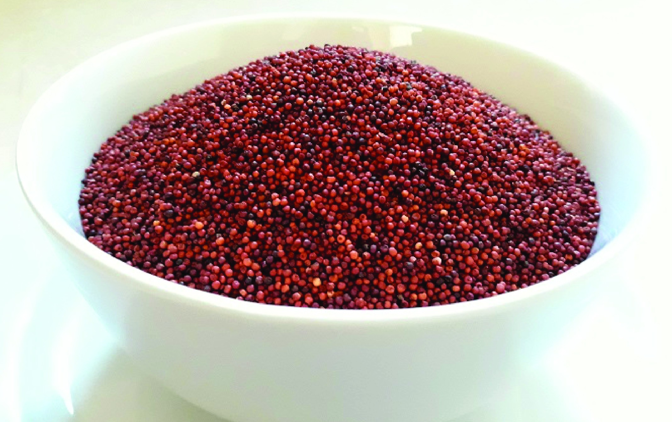 Finger Millet Benefits During Pregnancy at Guadalupe Harshaw blog