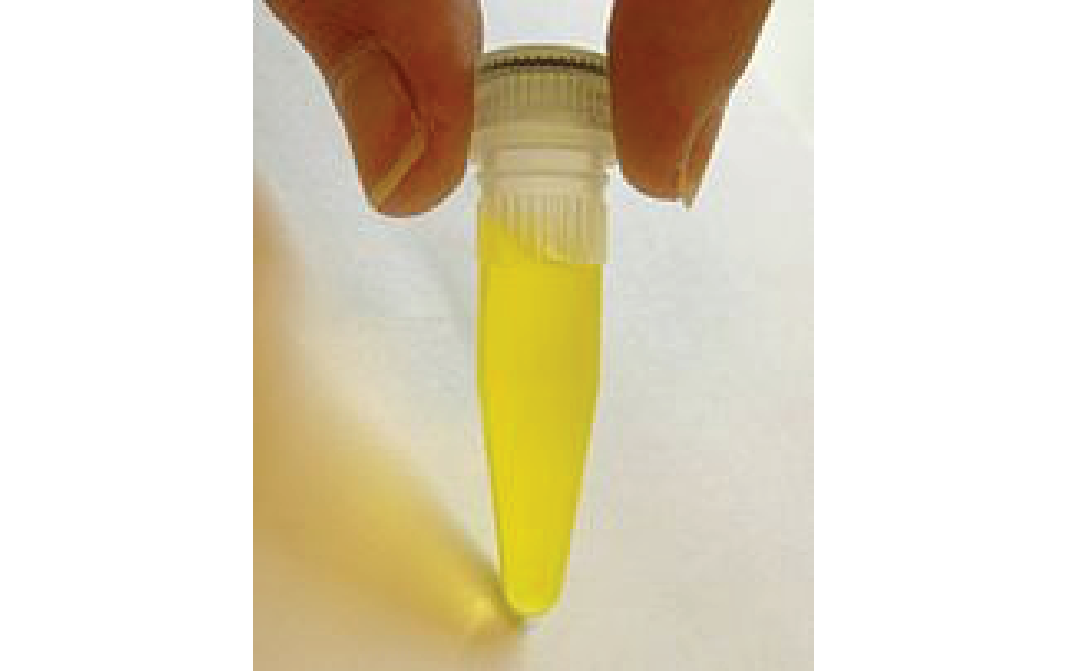 Antioxidant INS 322 (i) - GoToChef