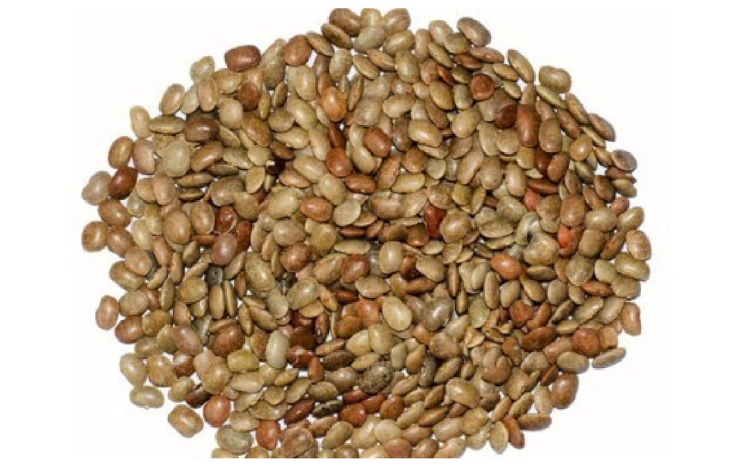 Horse Gram - GoToChef